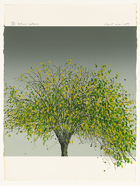 Rose, David. (1936–2006) · Related works · Australian Prints + Printmaking