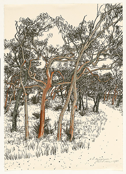 Rose, David. (1936–2006) · Related works · Australian Prints + Printmaking