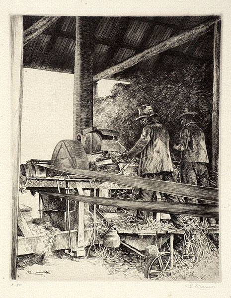 Warner, Alfred Edward. (1879–1968) · Related works · Australian Prints ...