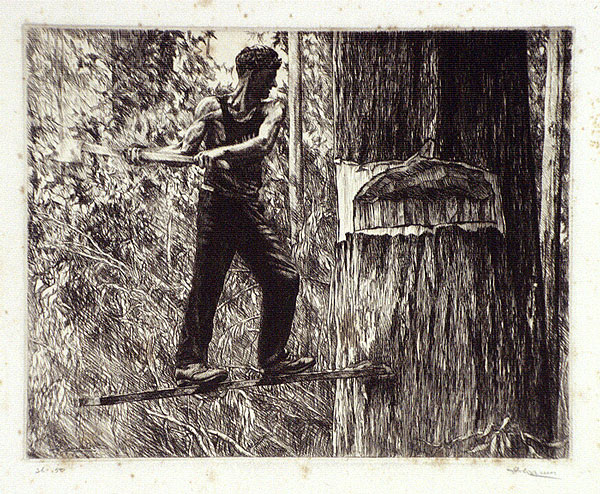 Warner, Alfred Edward. (1879–1968) · Related works · Australian Prints ...