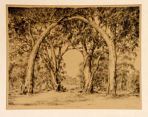 Warner, Alfred Edward. (1879–1968) · Related works · Australian Prints ...